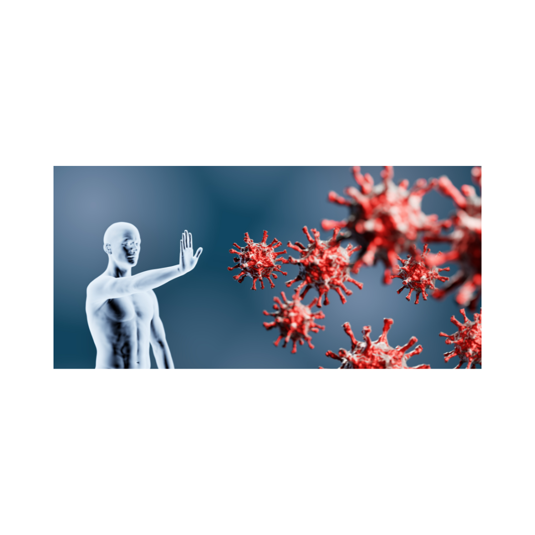 Nutritional Modulation Of Immune Function
